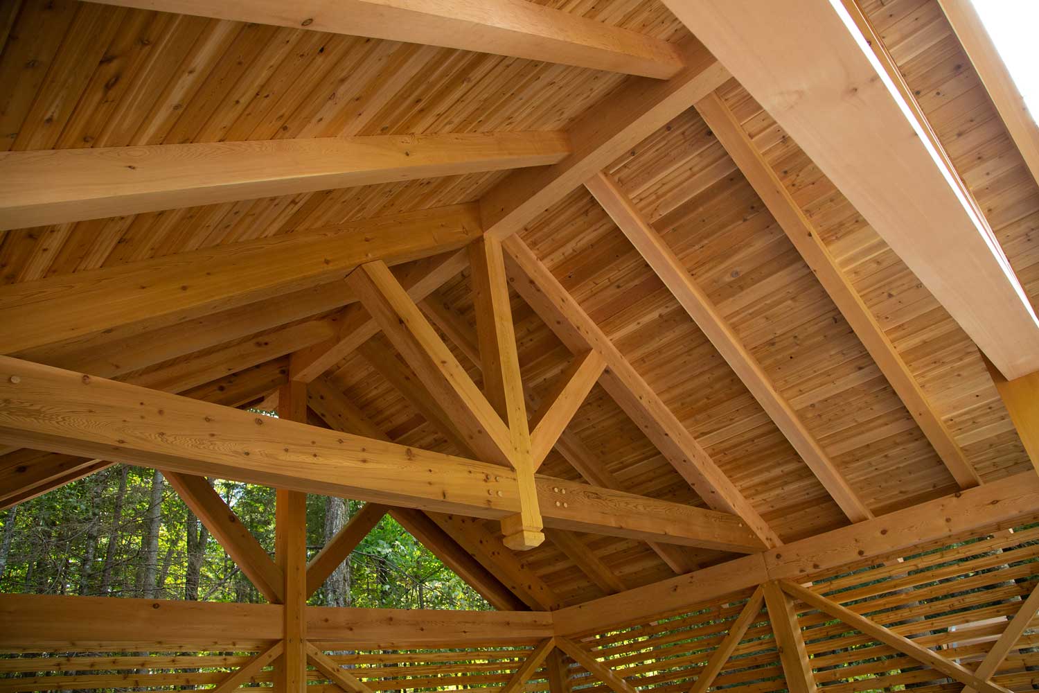 Home Page - Partap Forest Products