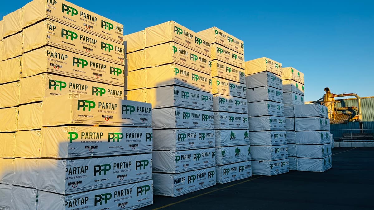 About - Partap Forest Products