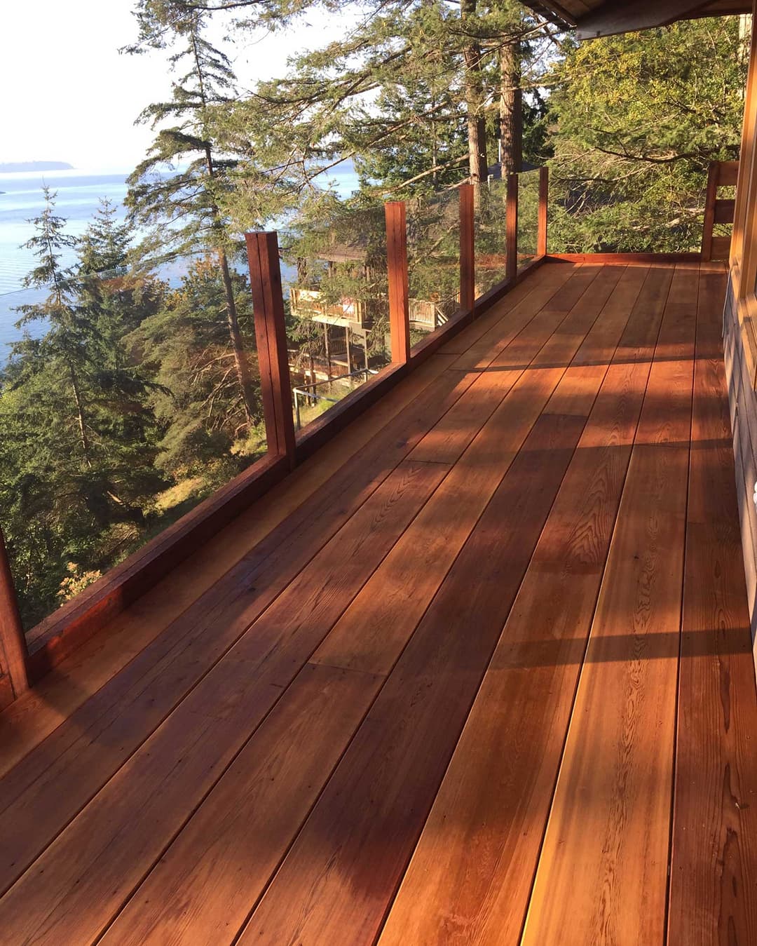 Gallery - Partap Forest Products