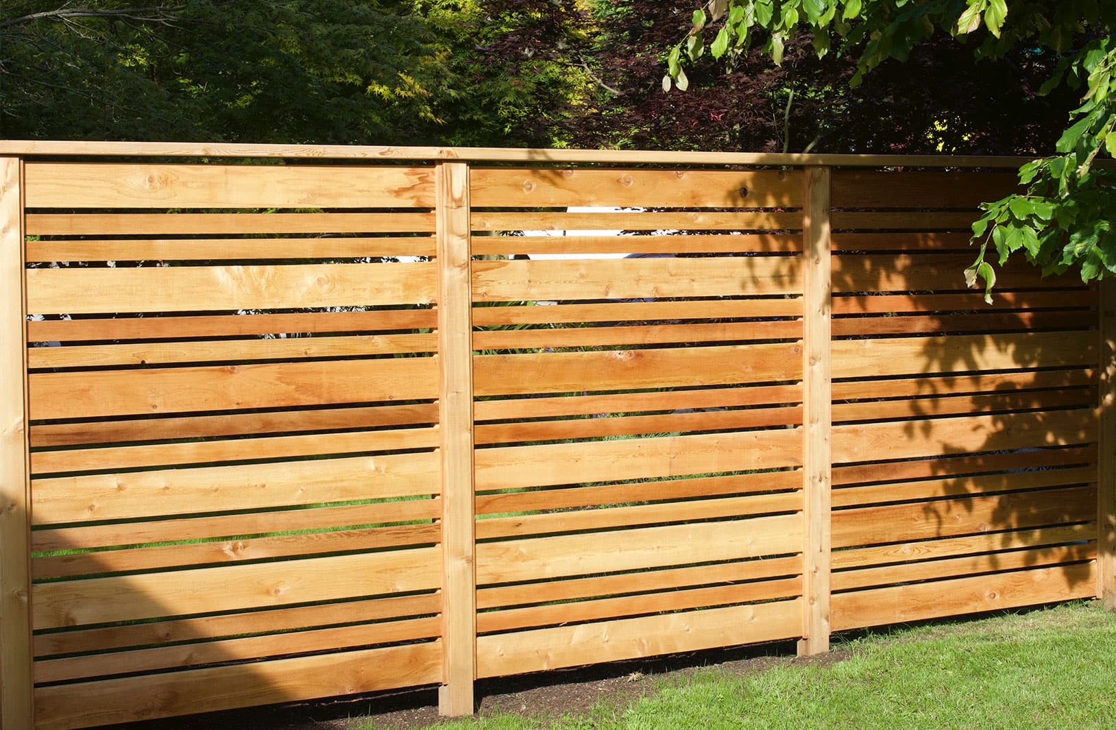 Home Page - Partap Forest Products